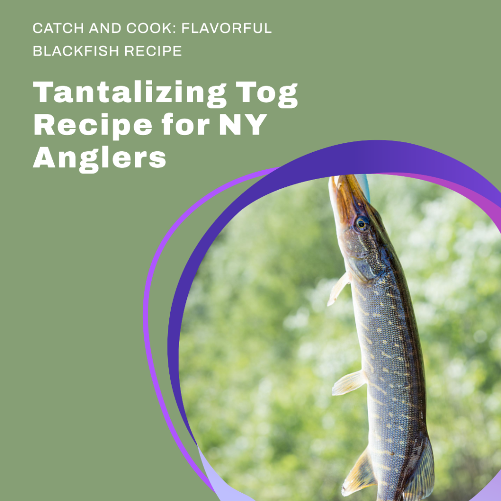 Catch and Cook: Tantalizing Tog - A Flavorful Blackfish Recipe ...